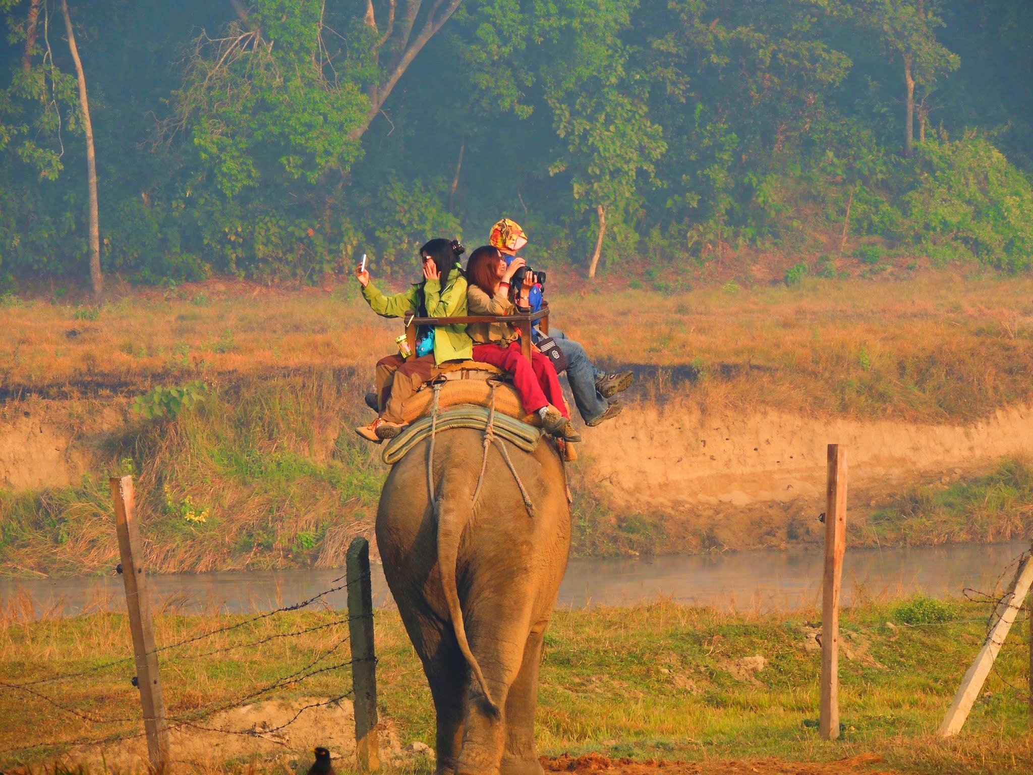 Chitwan Jungle Safari | Adventure White Mountain